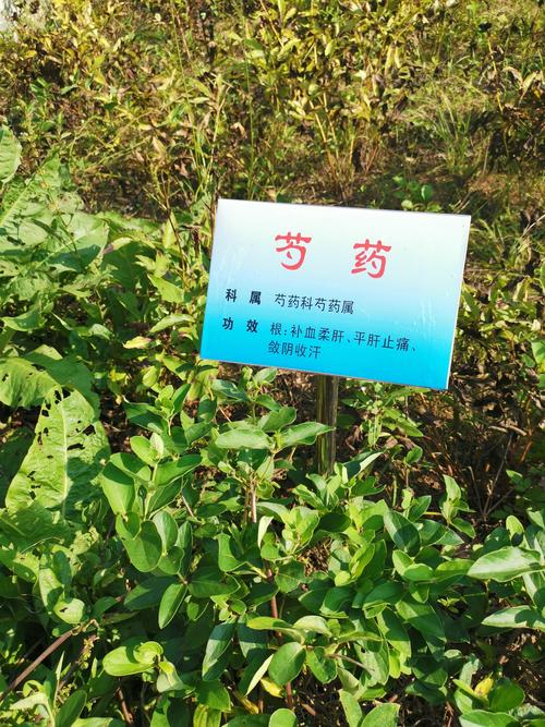 坤博健康干洗店加盟费多少钱坤博健康干洗店加盟费低至148万元坤博健康干洗店加盟怎么样中药饮片加工厂开办条件：开启健康产业新篇章的必备要素加盟星百度招商加盟服务平台