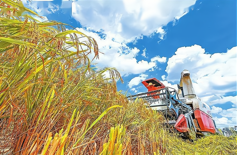 “农村集体产业发展：发掘农村潜力，引领乡村振兴新潮流”_加盟星百度招商加盟服务平台