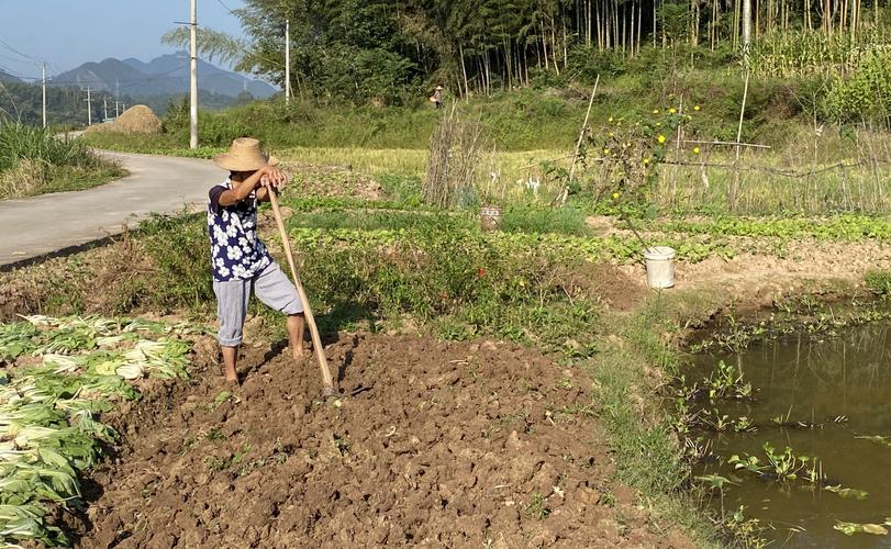 Farm Together怎么赚钱？掌握农场经营的财富秘诀！_加盟星百度招商加盟服务平台