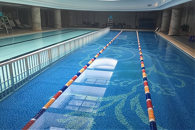 “覃海洋的多项目之旅：从蝶泳到自由泳，再到混合泳”_加盟星百度招商加盟服务平台