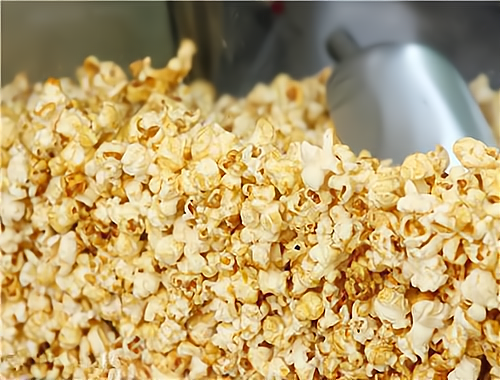Garrett Popcorn加盟费多少钱_Garrett Popcorn加盟费低至21.4万元_Garrett Popcorn加盟怎么样 ...
