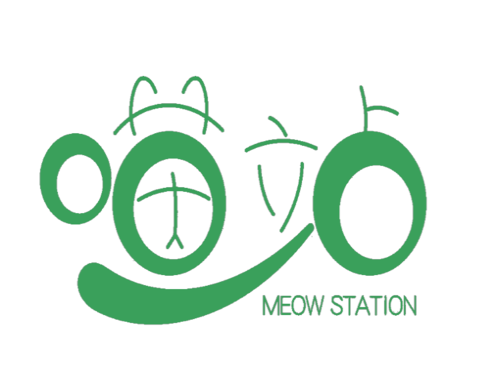 台湾momo购物怎么开店：开启您的电商创业新篇章_加盟星百度招商加盟服务平台