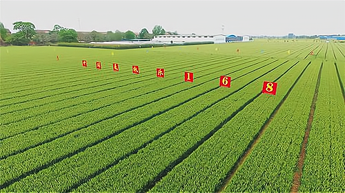 “投资几内亚农业，共享肥沃土壤与丰富降雨带来的丰厚回报！”_加盟星百度招商加盟服务平台